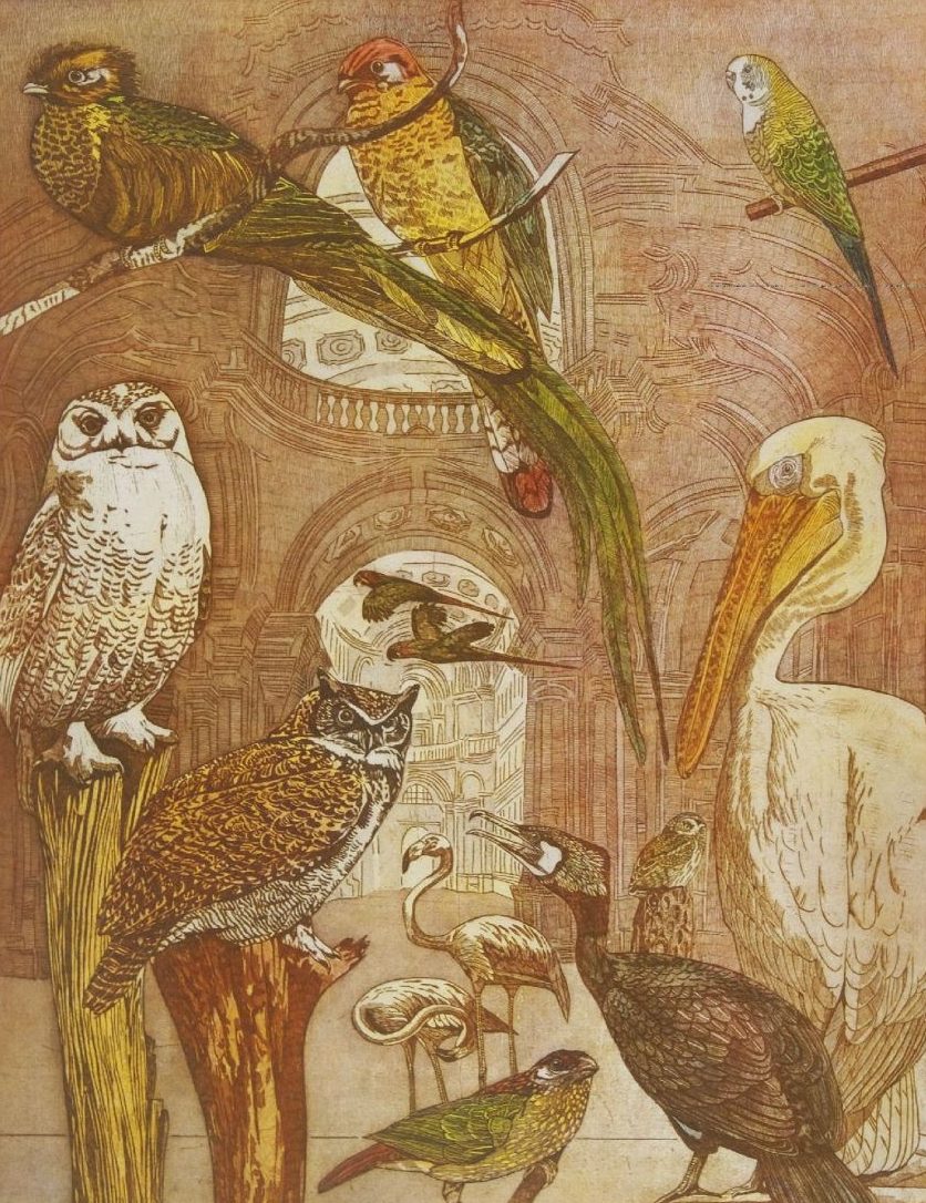 Childs Gallery | Annemarie Petri: Rara Avis | Boston | April 18 – June ...