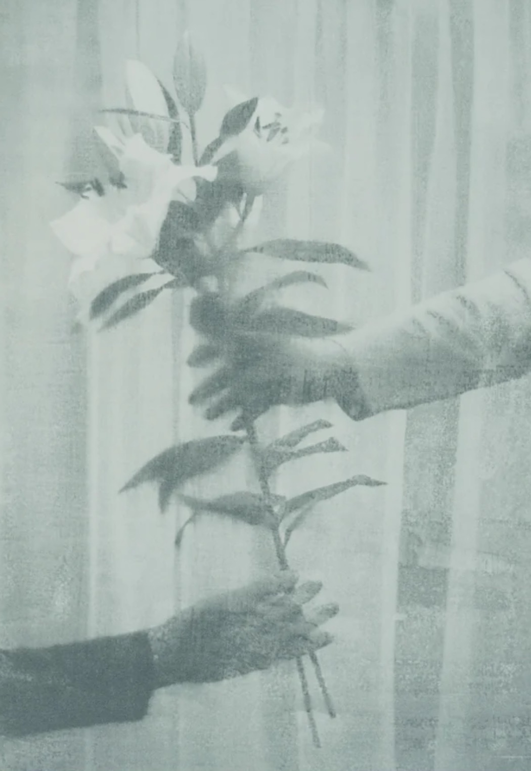 JEALOUS | After The Horse Has Bolted | London | June 26 – July 26, 2025 ...